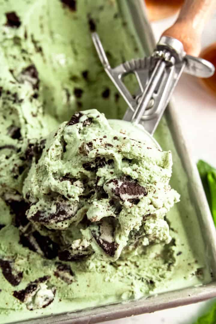 Easy, No-Cook Mint Cookies & Cream Ice Cream (GF & Vegan Options!)