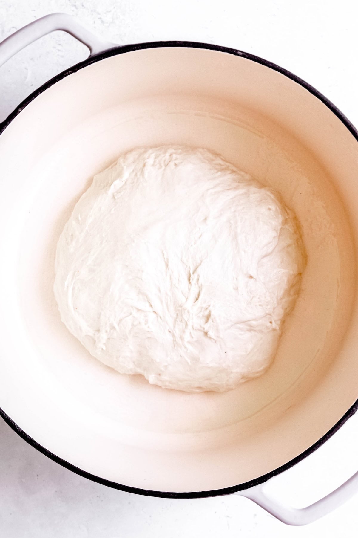 00 Flour Pizza Dough With Sourdough Starter (No Yeast)